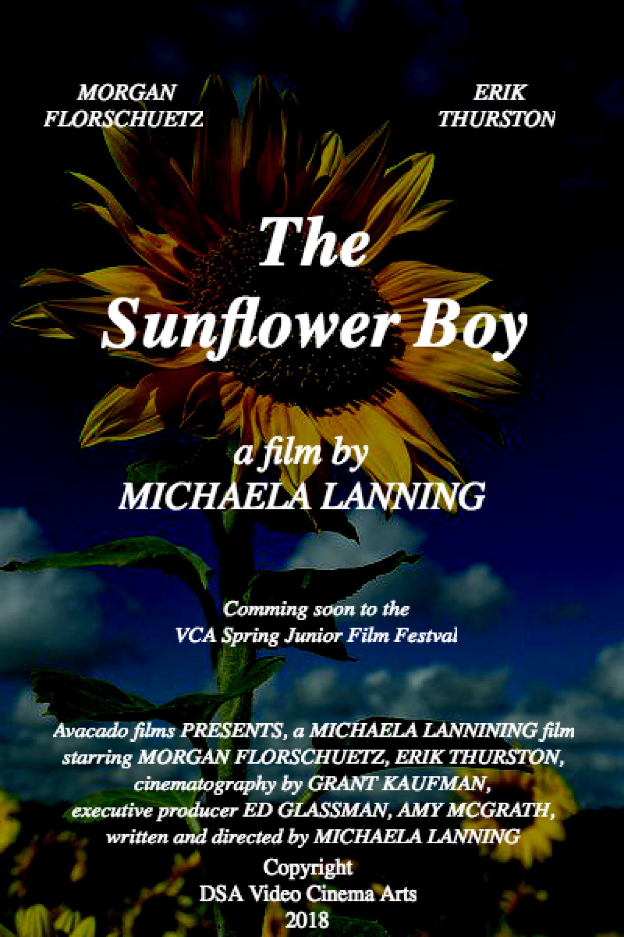 The Sunflower Boy - naEKRANIE.pl